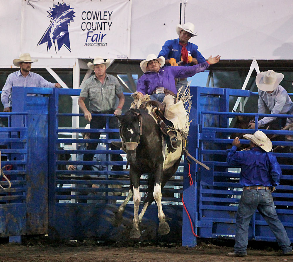 Cowley County Fair - Freestyle Bullfighting, Wild Cow Milking and Rodeo ...