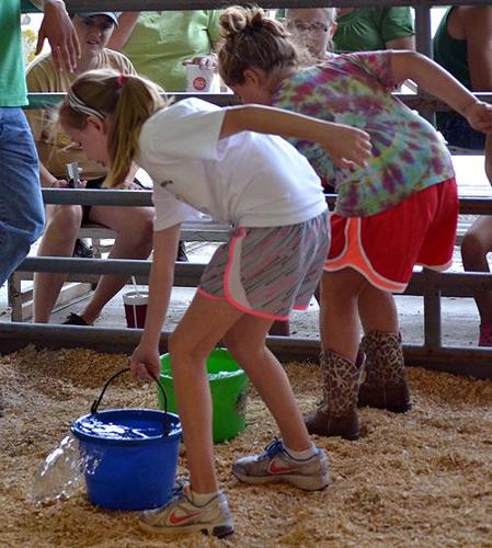 Photos of the Cowley County Fair | News | ctnewsonline.com