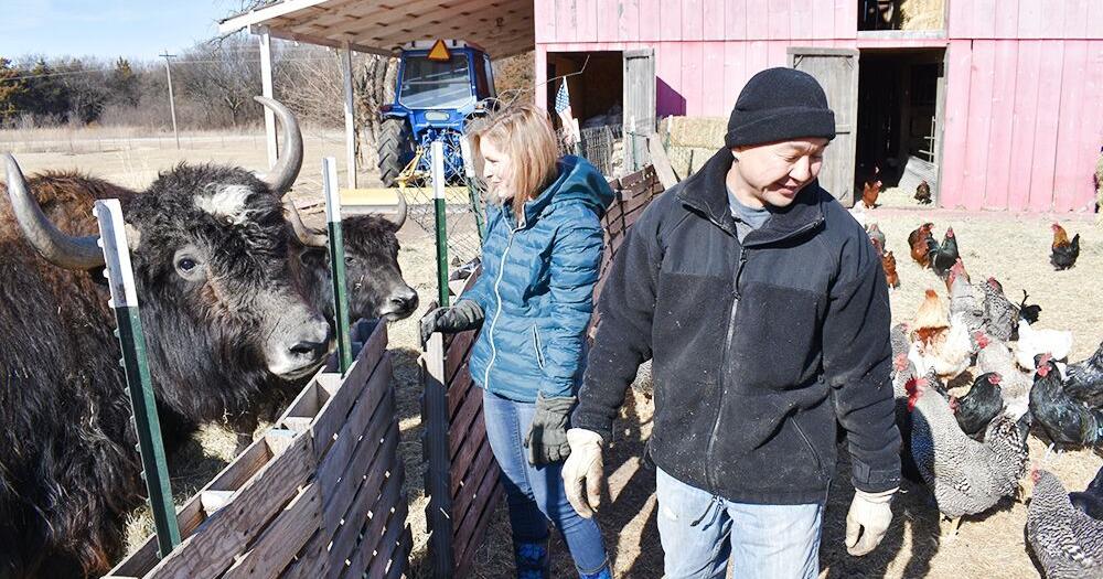 Yakity Yak | News | ctnewsonline.com