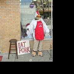 Don't be a chicken — donate to the Salvation Army campaign | News ...