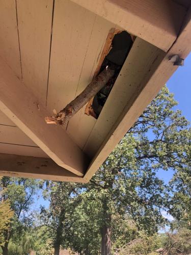 Winfield parks reopen after Aug. 5 storm | News | ctnewsonline.com