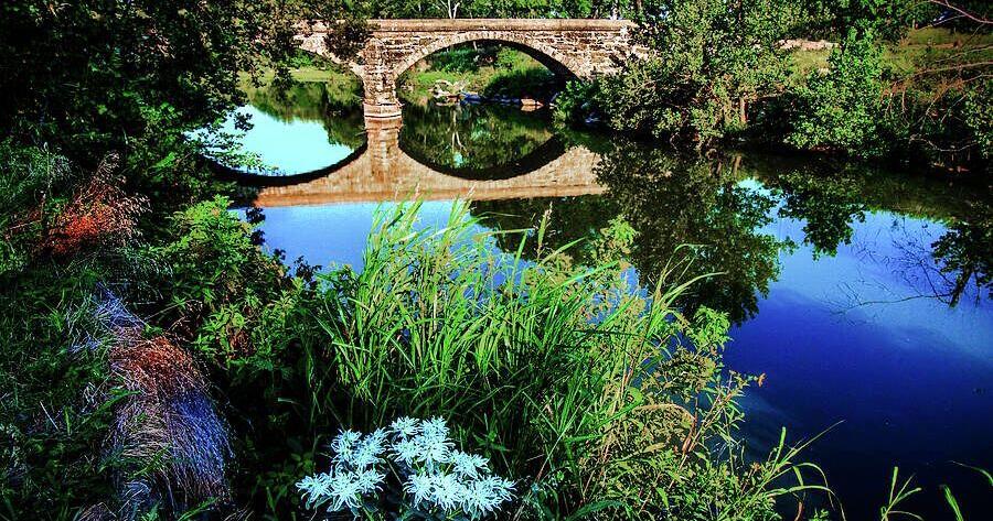 Ciskowski photos highlighted by gallery | News | ctnewsonline.com