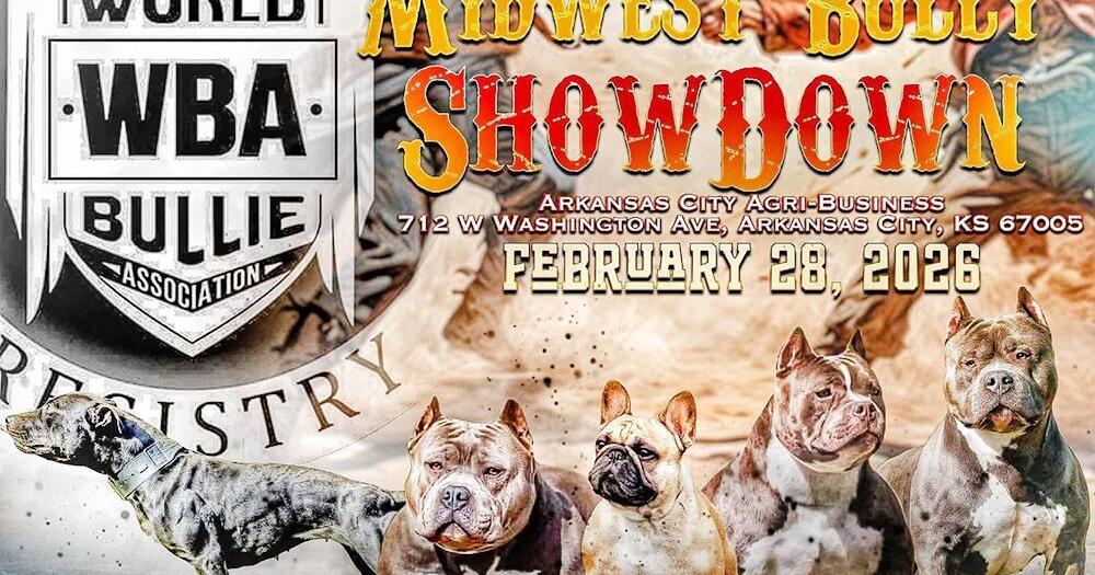 Dog show a second chance for organizer | News | ctnewsonline.com