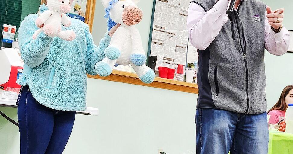 Helping Hands | News | ctnewsonline.com