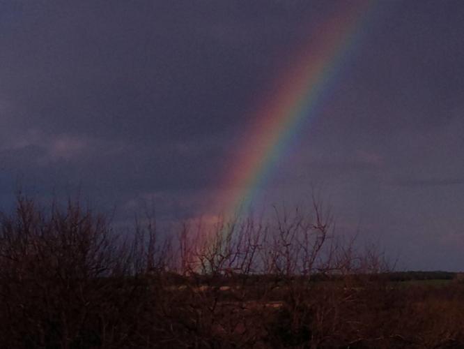 Local rainbow photos from April 18 | Gallery | ctnewsonline.com