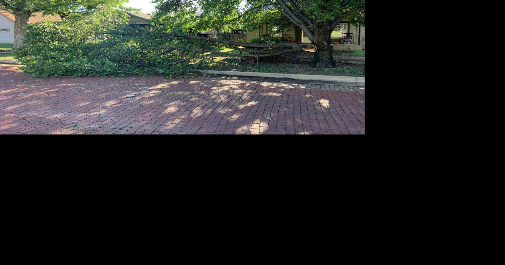 Storm Damage | News | ctnewsonline.com