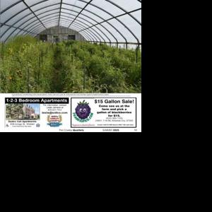 Page E11 | Best of Cowley County | ctnewsonline.com