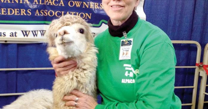 Lower Allen woman teaches Alpaca at Pa. Farm Show