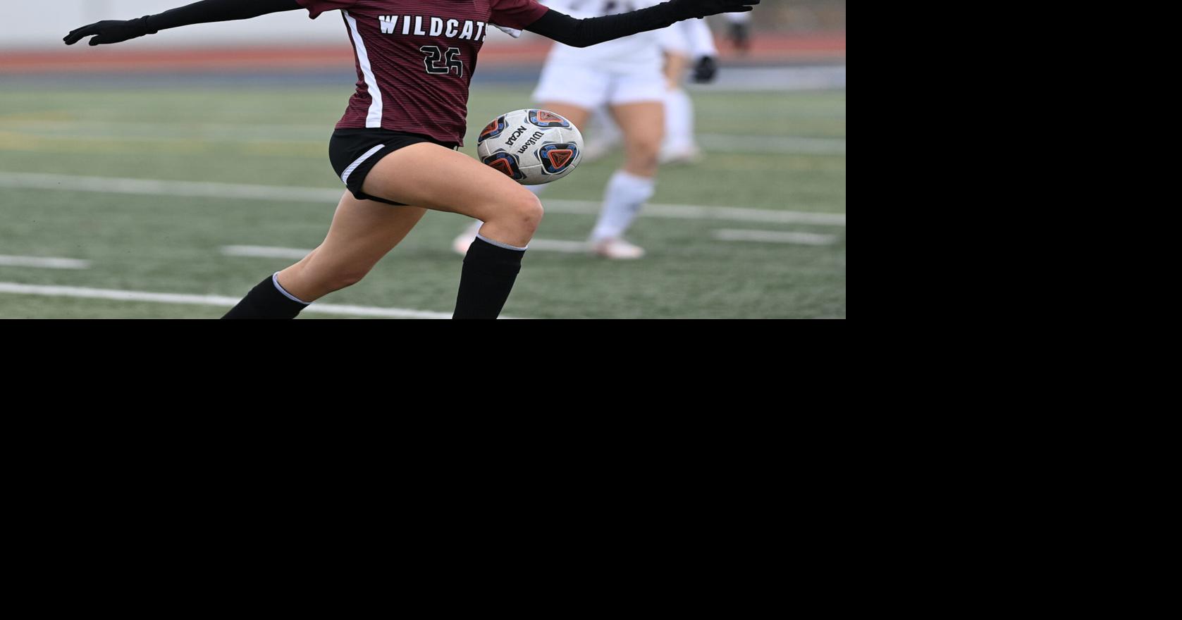 Kyra Dillon nets golden goal for Mechanicsburg, and other soccer notes ...