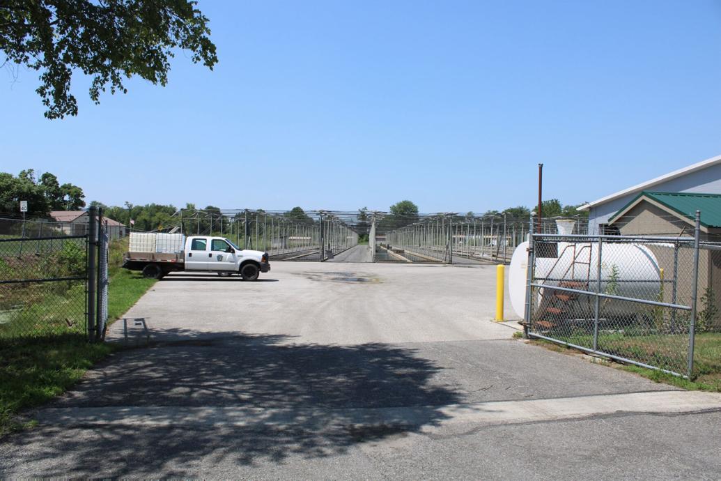 PHOTOS: An inside look at Huntsdale State Fish Hatchery in Penn Township