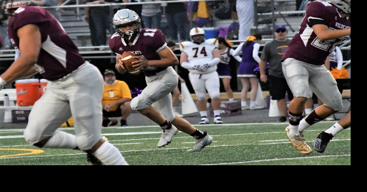 Jeff Lougee draws from baseball experience to grow as Mechanicsburg ...