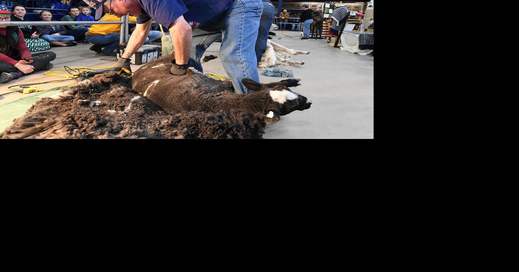 Photos: 2026 Sheep to Shawl Competition