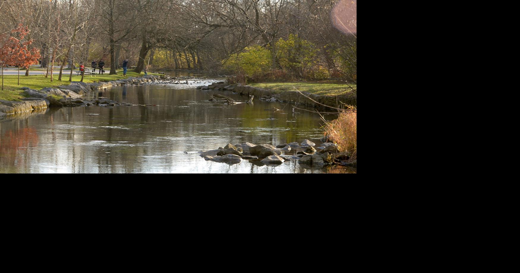 Explanations differ on causes for LeTort Spring Run plant kill