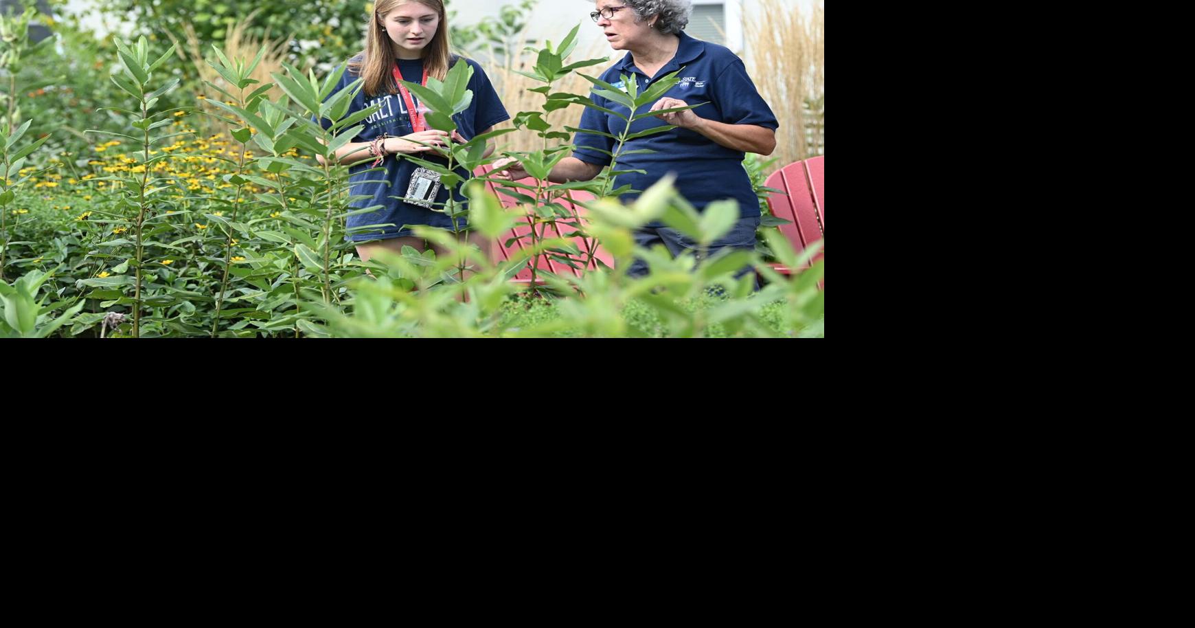 Dickinson College pollinator garden educates students
