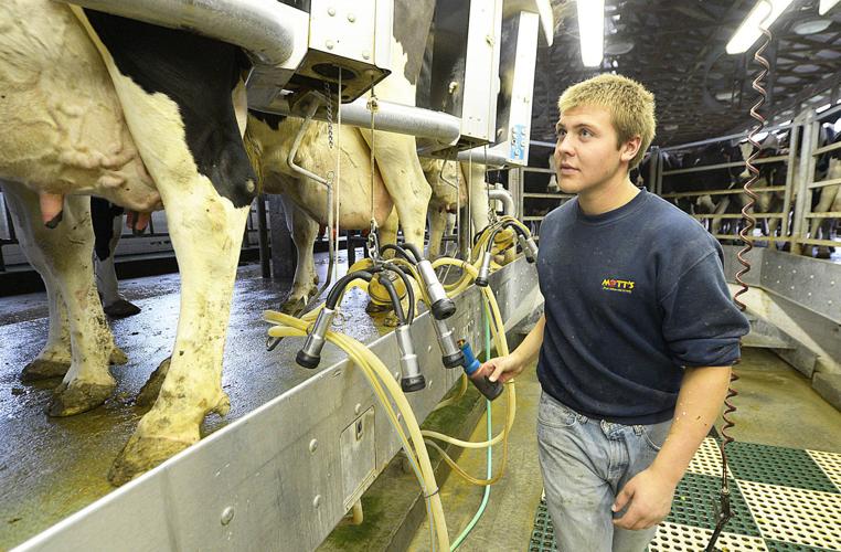 Cumberland County agriculture prospers despite slight drop in number of ...