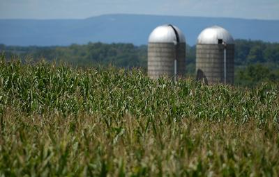 Expert: Beware of silo gas