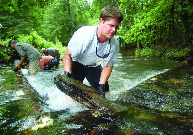 Volunteers build fish habitat in South Middleton | The Sentinel: News ...