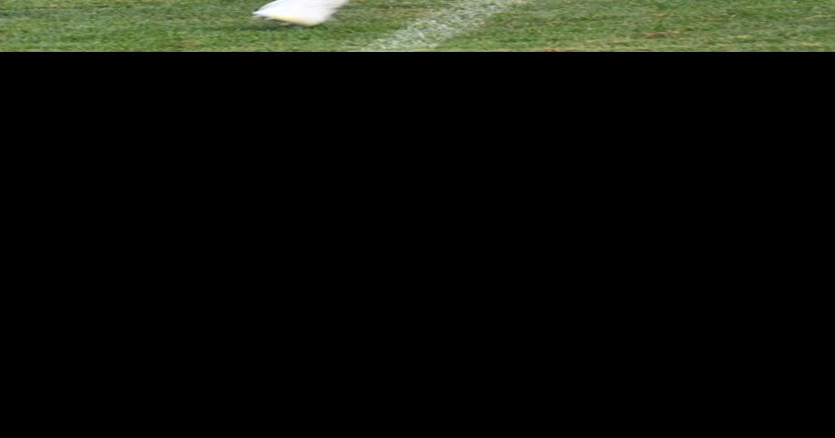 Tre Moody, Trinity roast Boiling Springs