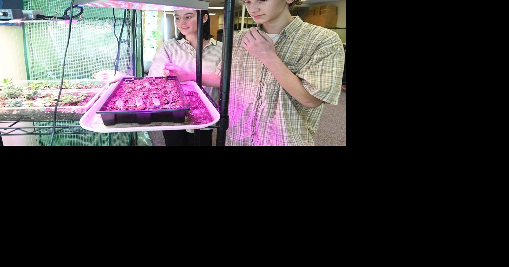 Boiling Springs High School uses hydroponics as part of agriculture ...