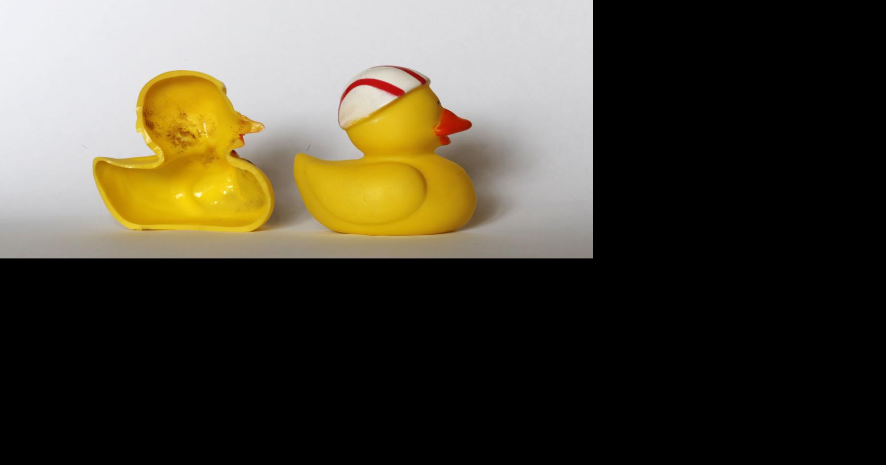 Yucky ducky? Study reveals bath-time toy's dirty secret