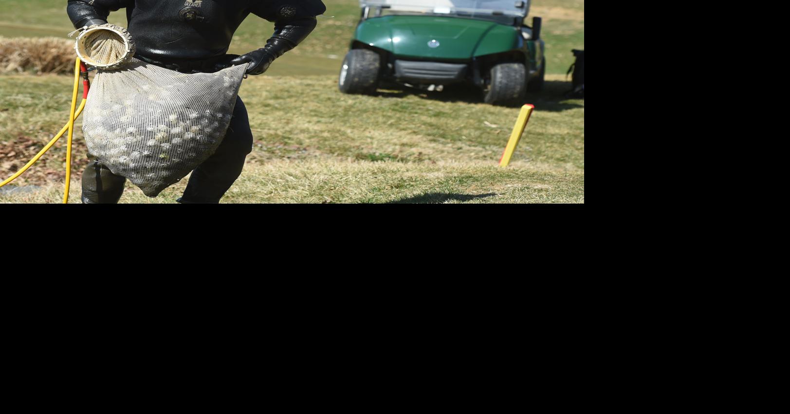 Diving for golf balls not an easy (or safe) job