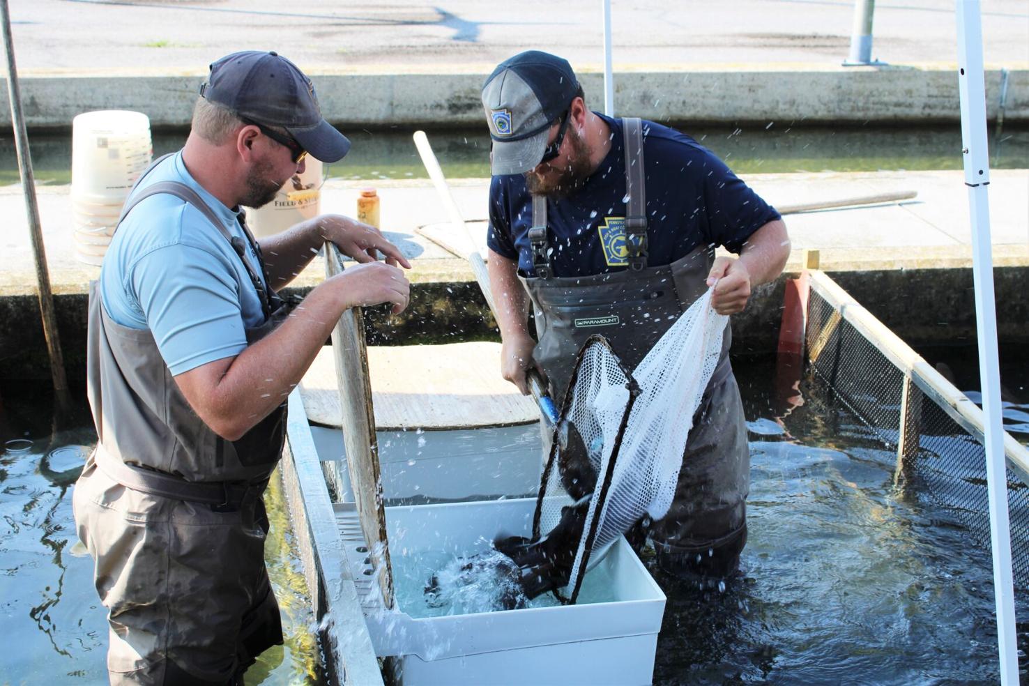 PHOTOS: An inside look at Huntsdale State Fish Hatchery in Penn Township