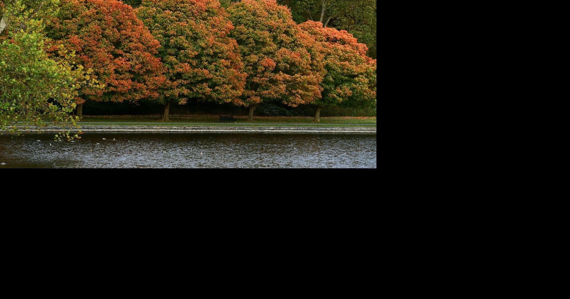 Penn State: Warm, wet autumn could mute, delay foliage in Pennsylvania