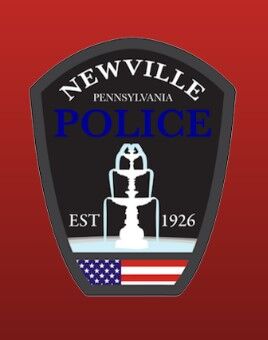 Newville Police warn residents of loose dogs after they attacked people ...