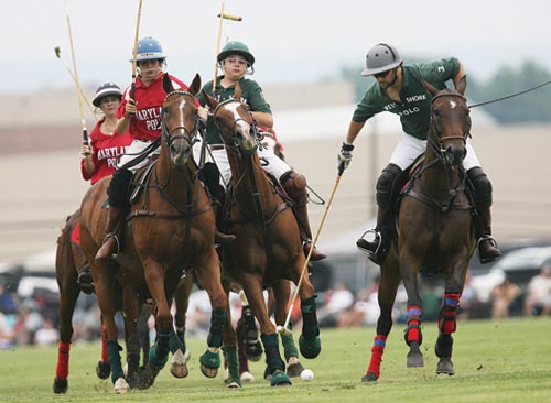 Mechanicsburg polo match raises money for MS research | The Sentinel ...