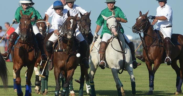 Hempt Farms Polo Fields hosts benefit for food rescue