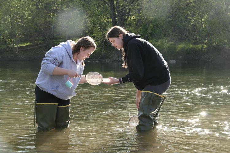 Cumberland Valley students take part in Bioblitz along Conodoguinet Creek
