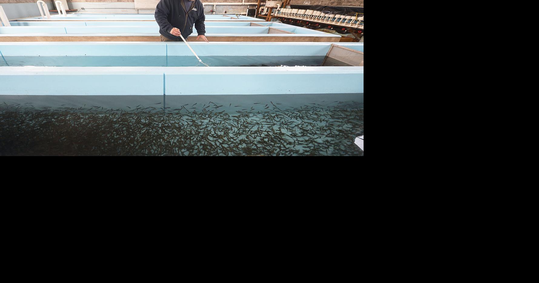 Photos: Huntsdale Fish Hatchery