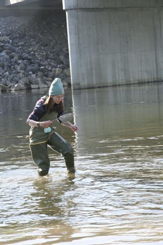 Cumberland Valley students take part in Bioblitz along Conodoguinet Creek