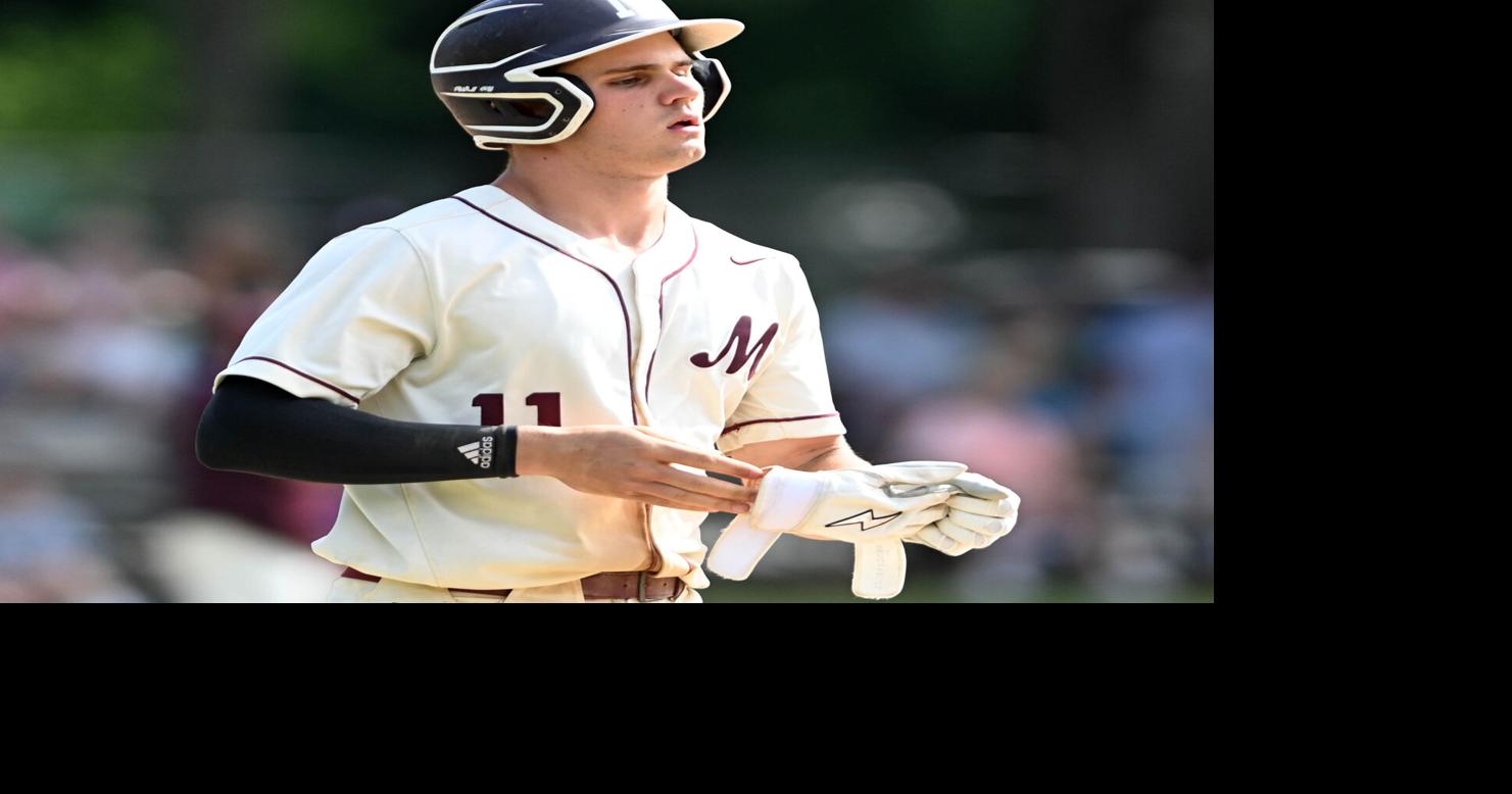 Camp Hill's Tozzi, Mechanicsburg's Lougee, Young lead 2024 Mid-Penn ...