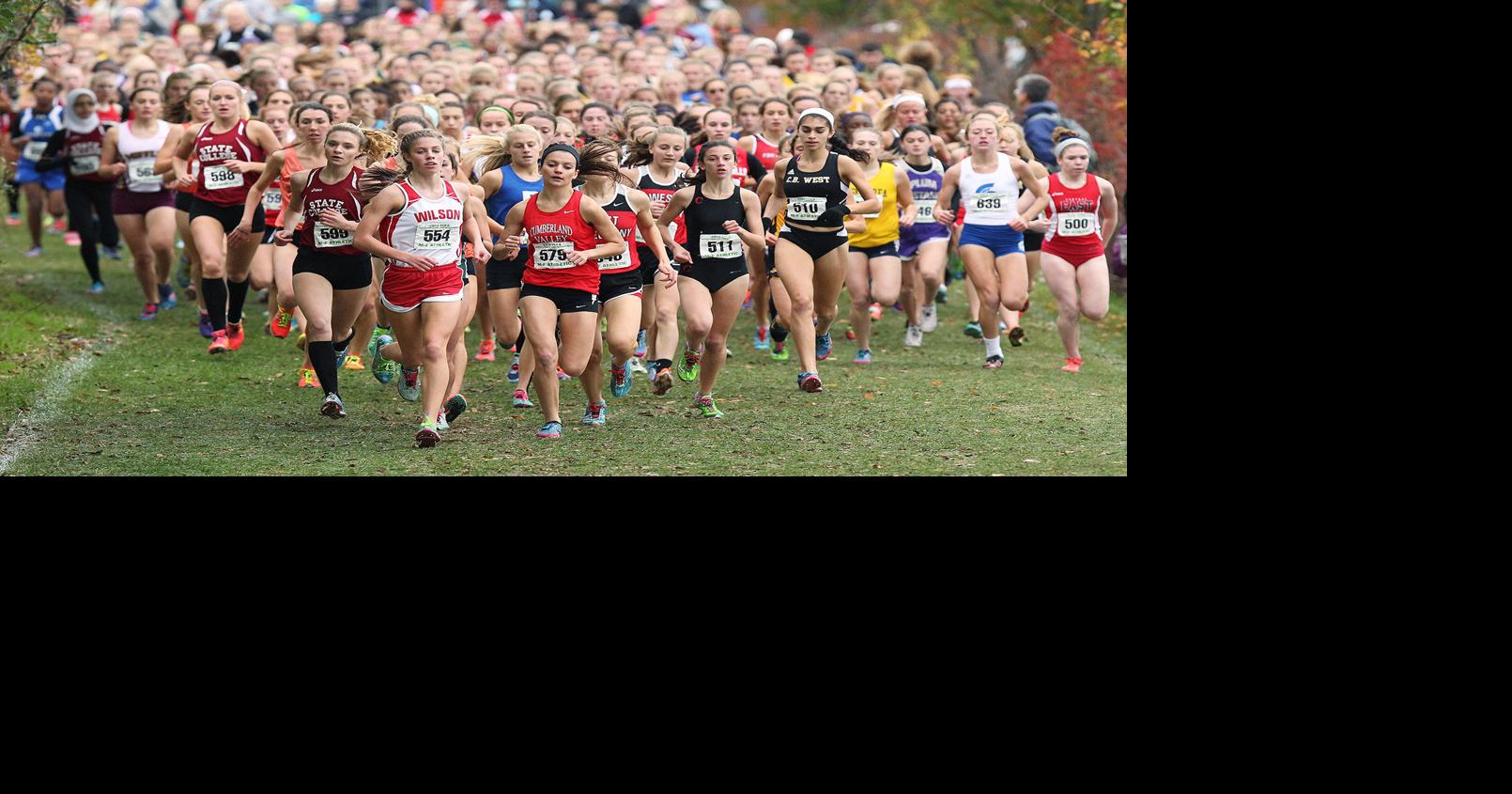Cumberlink Year in Review: Top 10 most viewed local sports stories
