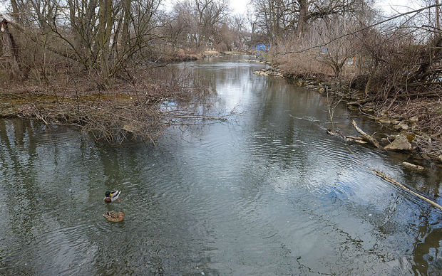 Carlisle students experience LeTort Spring Run