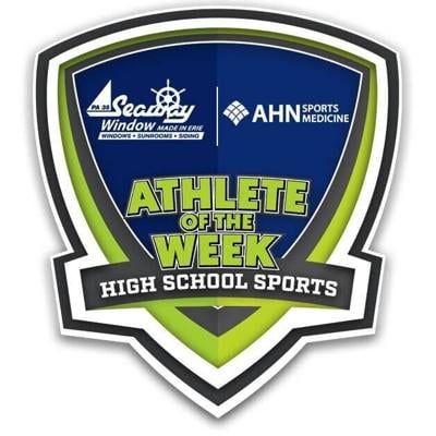 Vote in the last Erie Times-News Seaway Window and AHN Sports Medicine ...