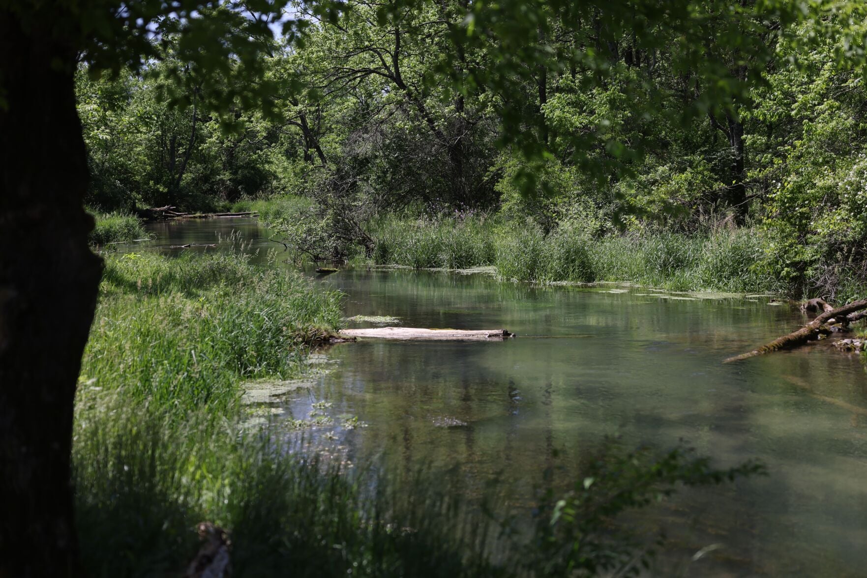 Photos: Sentinel's Photos of the Week for June 2026