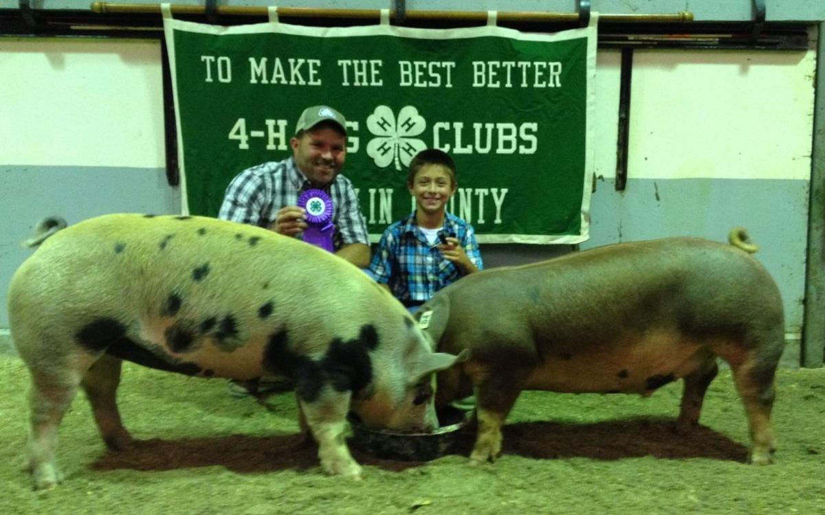 Franklin County 4-H Pig Club holds 73rd annual show, sale