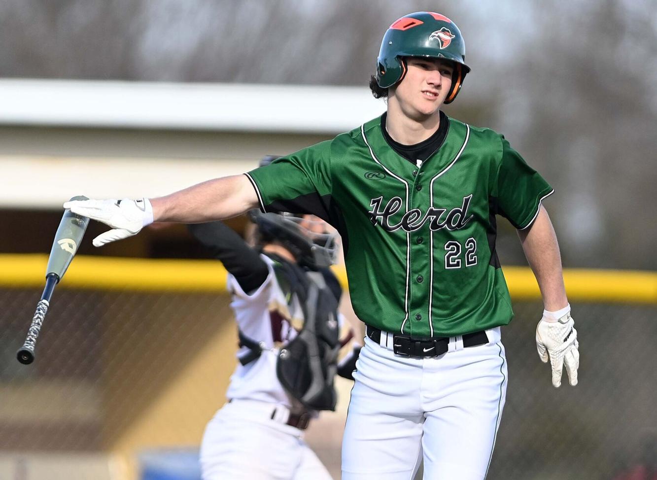 High School Baseball: 2024 Sentinel-area season previews with key ...