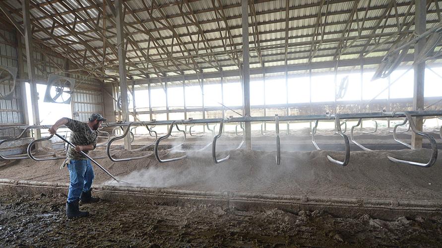 Cumberland County agriculture prospers despite slight drop in number of ...