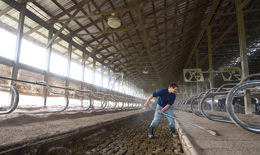 Cumberland County agriculture prospers despite slight drop in number of ...