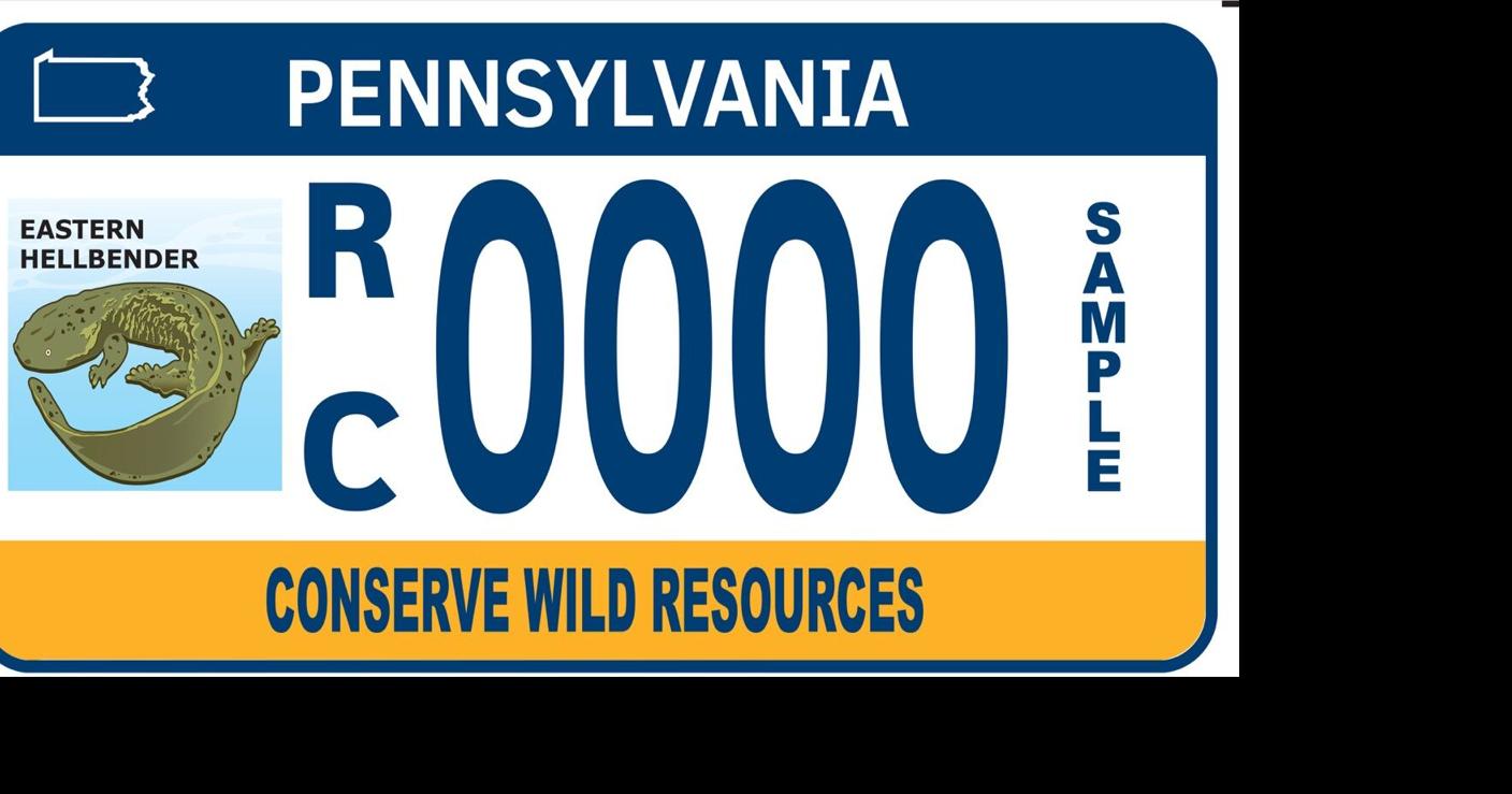 Pennsylvania unveils eastern hellbender license plate