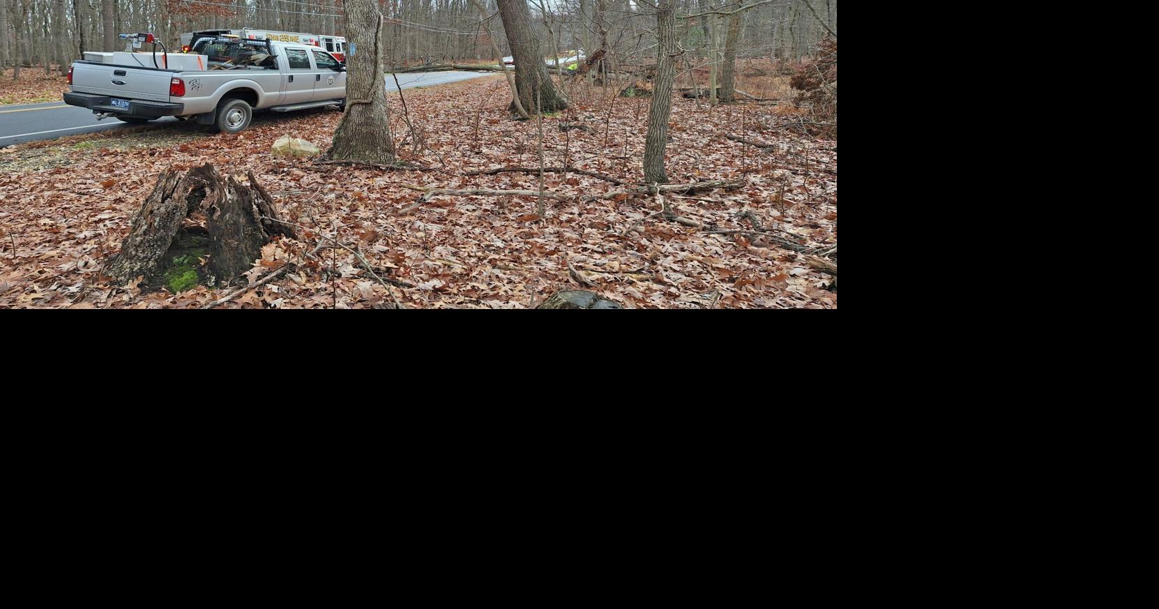 Met-Ed, PPL report outages across county following rain