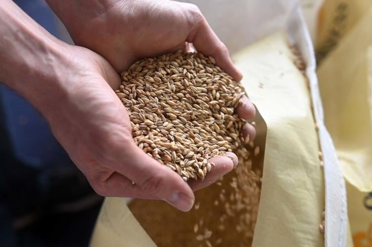 Despite pandemic, local couple's dream becomes reality at Wolf Brewing ...