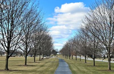 #APhotoADay: Day 35 - The beaten path