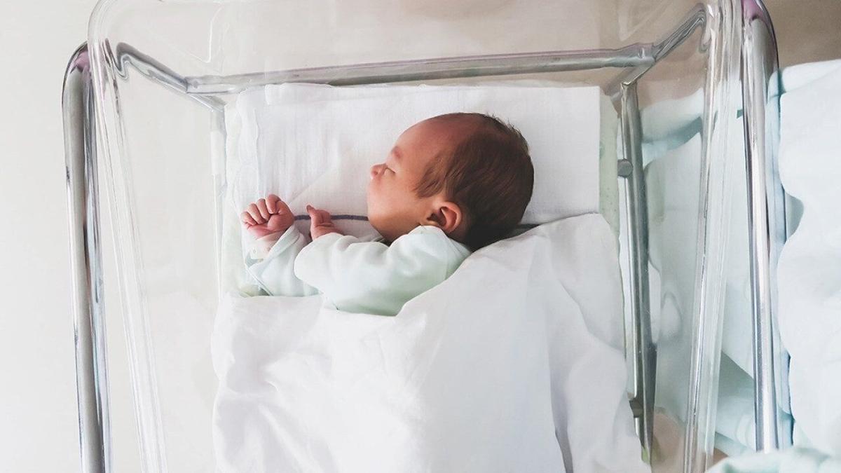 States that will benefit most from Trump accounts based on birth ...