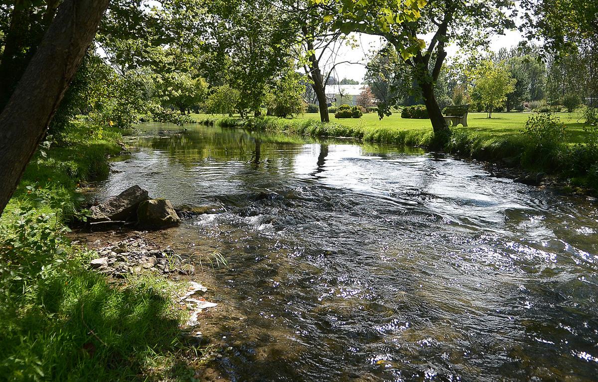 Day 40: LeTort Spring Run