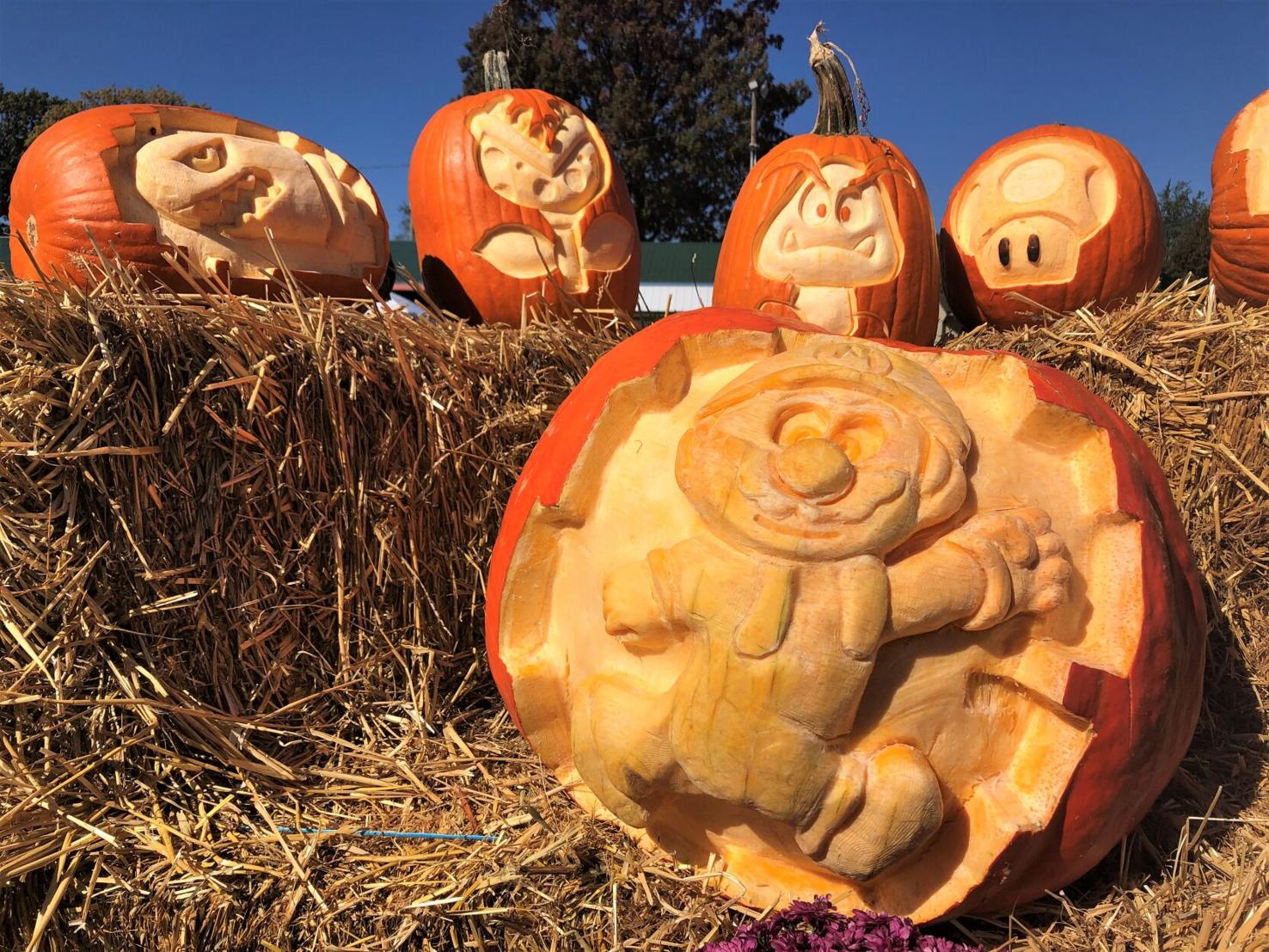 Top 5 weekend events: Bosler Comic Con, pumpkin festivals and live ...