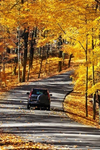 Best fall driving practices: School is in session